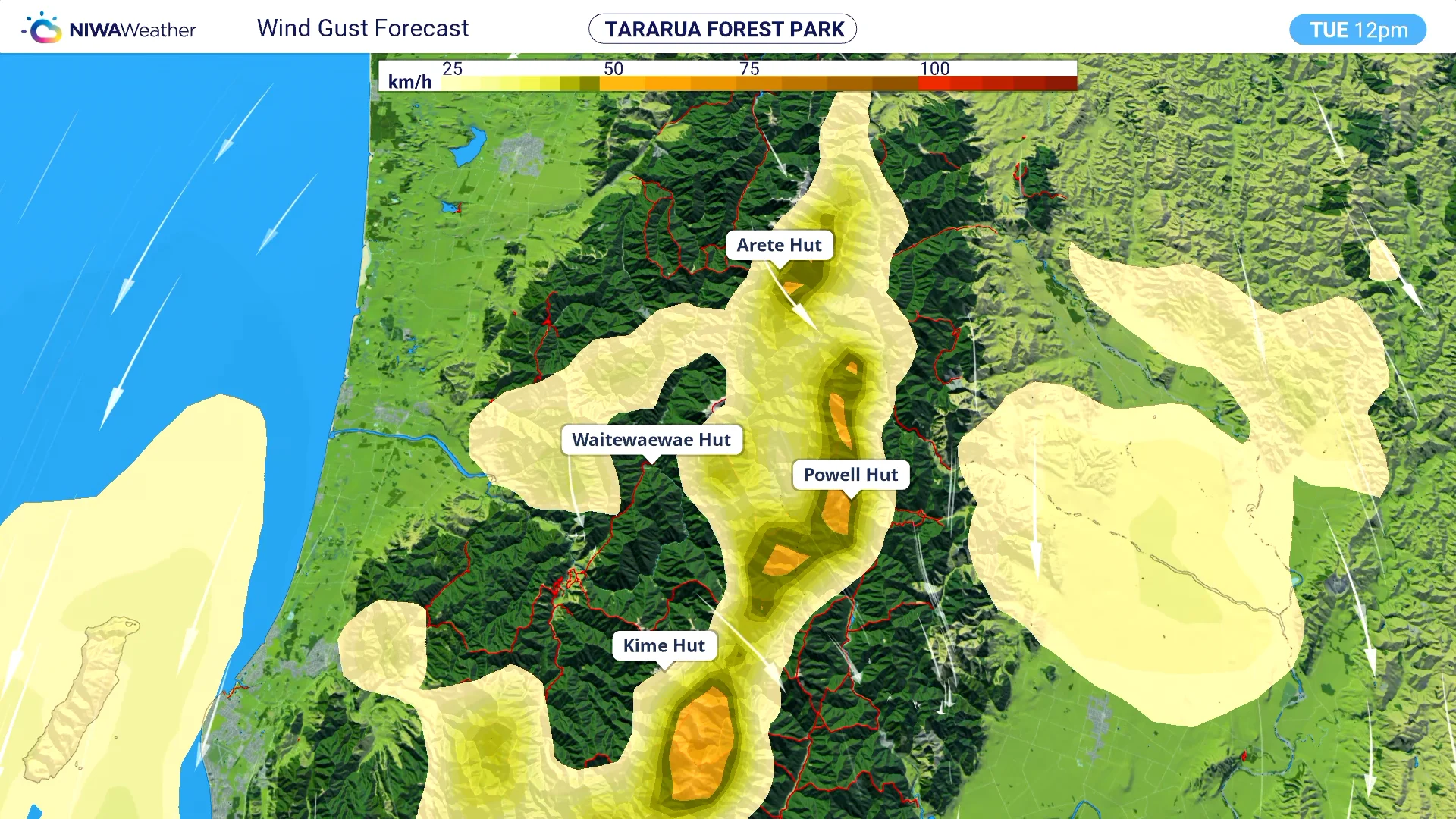Tararua Forest Park Weather Outlook on Vimeo