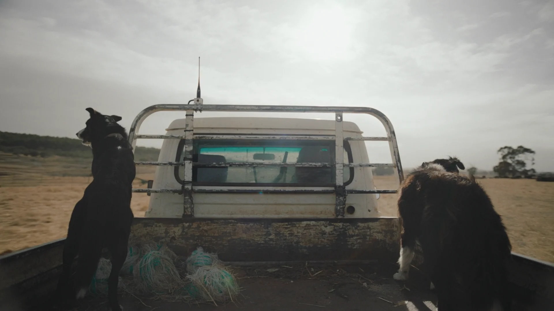 CBH - 90 Harvests Strong - The Optimists (2023) on Vimeo