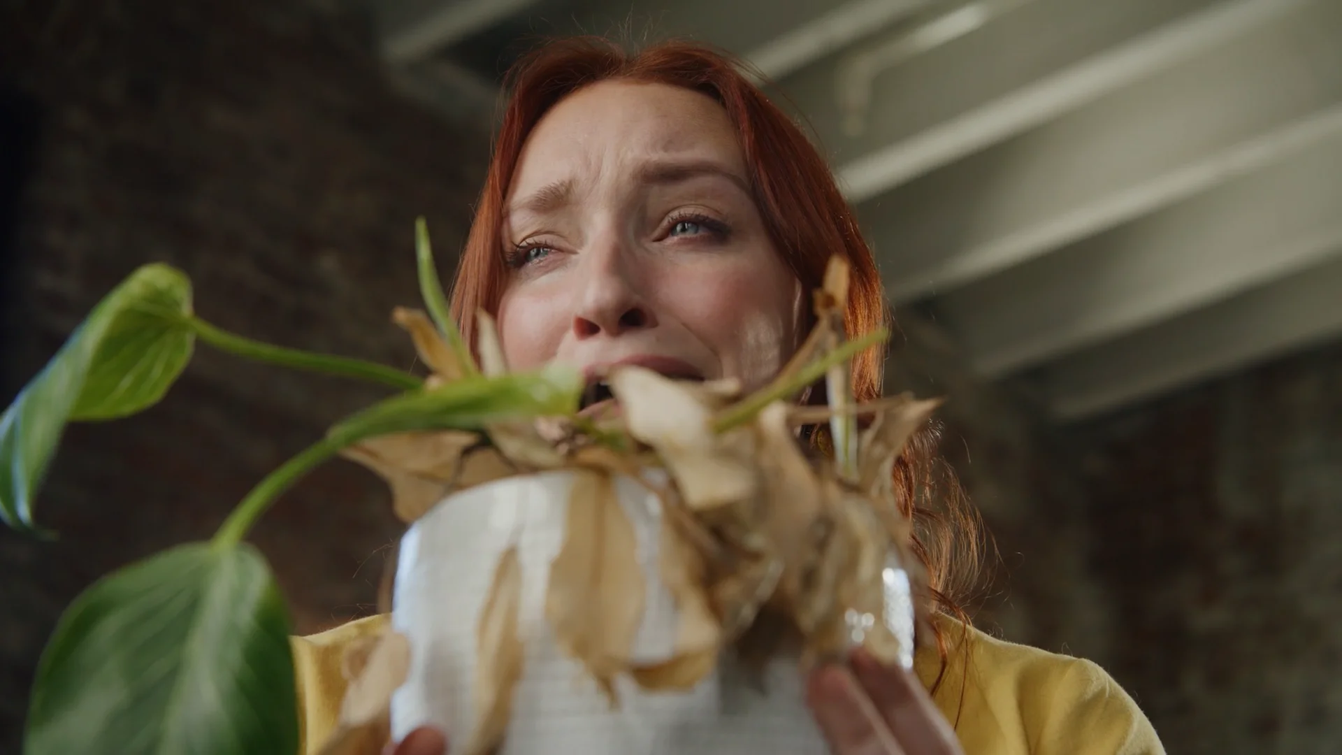 Naked Root Launch Video