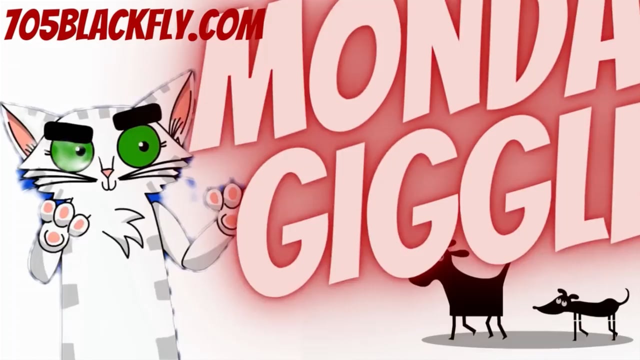 MONDAY GIGGLE - TIK TOK VIDS on Vimeo