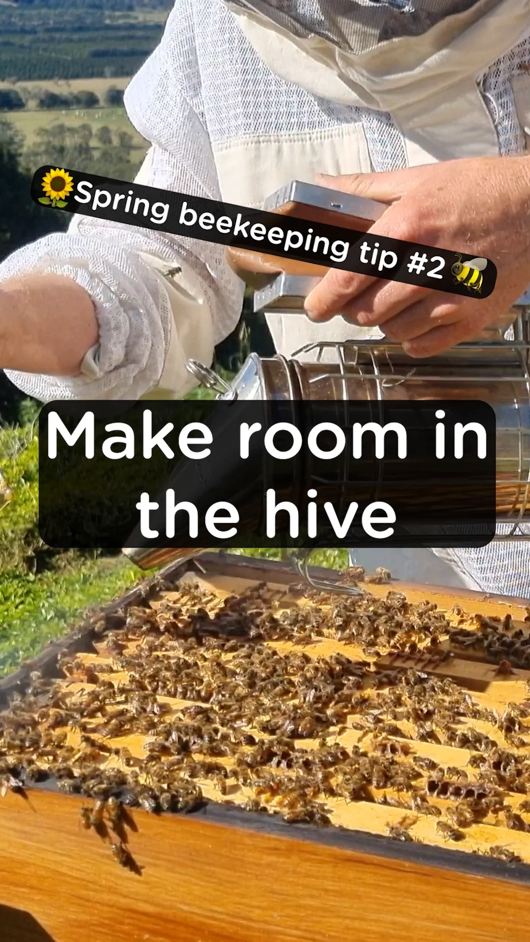Spring Beekeeping tips: Making room in the hive on Vimeo