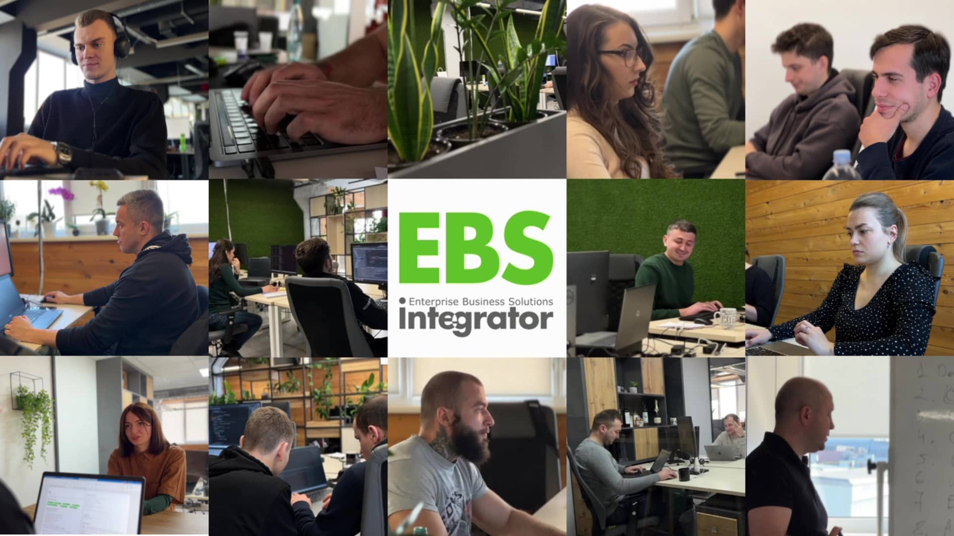 The vibrant world of EBS Integrator! on Vimeo