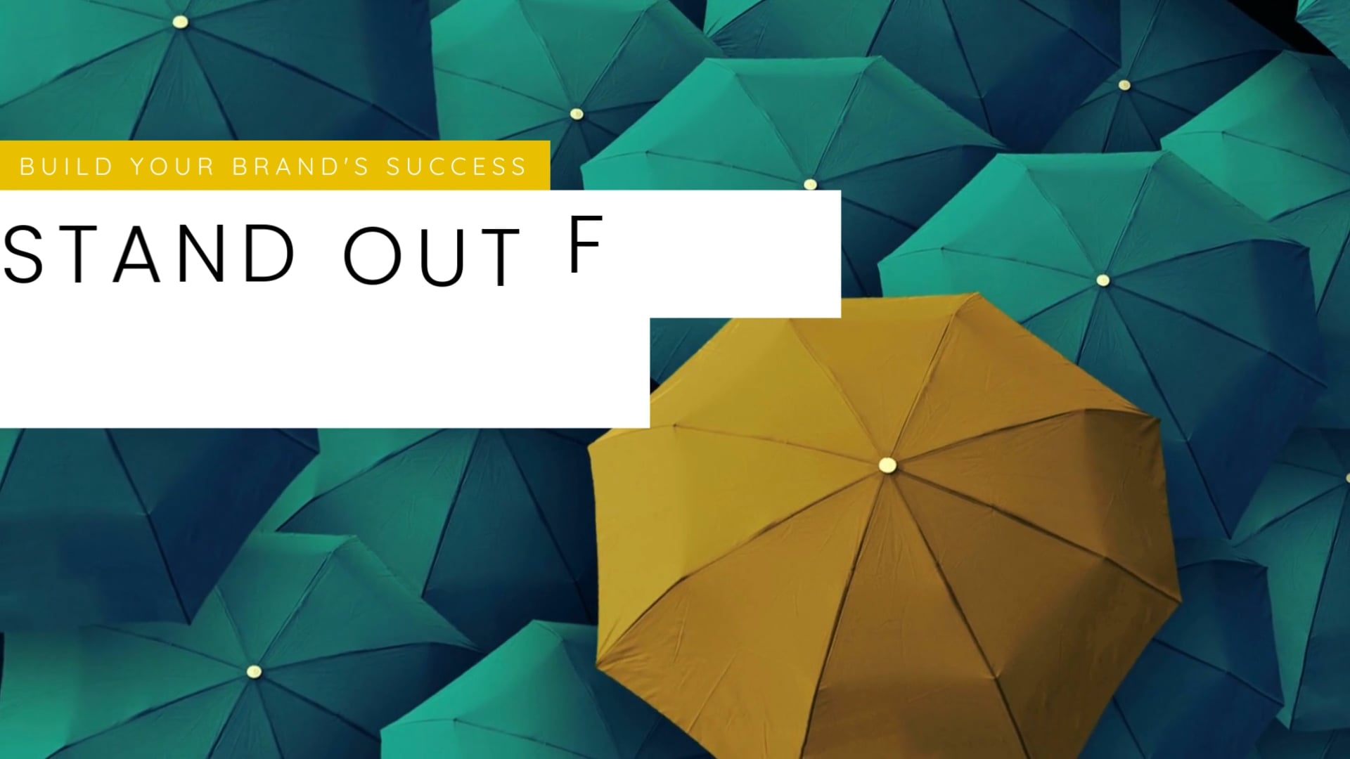 IMPERIUM - 360-Degree Solutions For Business Evolutions