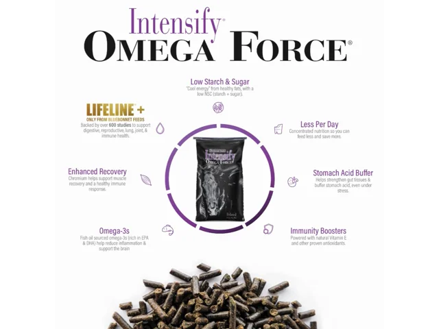 Bluebonnet Intensify Omega Force Best Sale | primealture.it