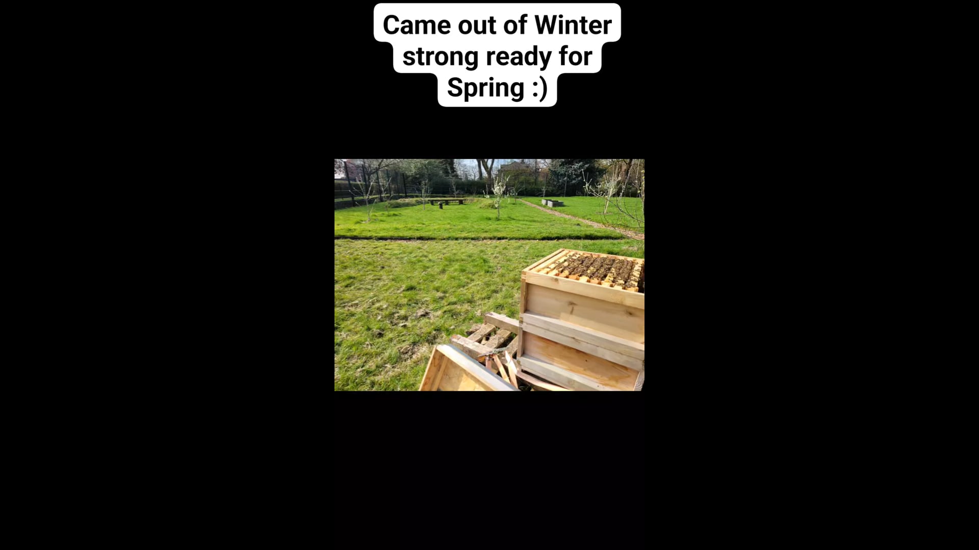 Discover the Benefits of Natural Moisturising Creams | Springfield Park ...