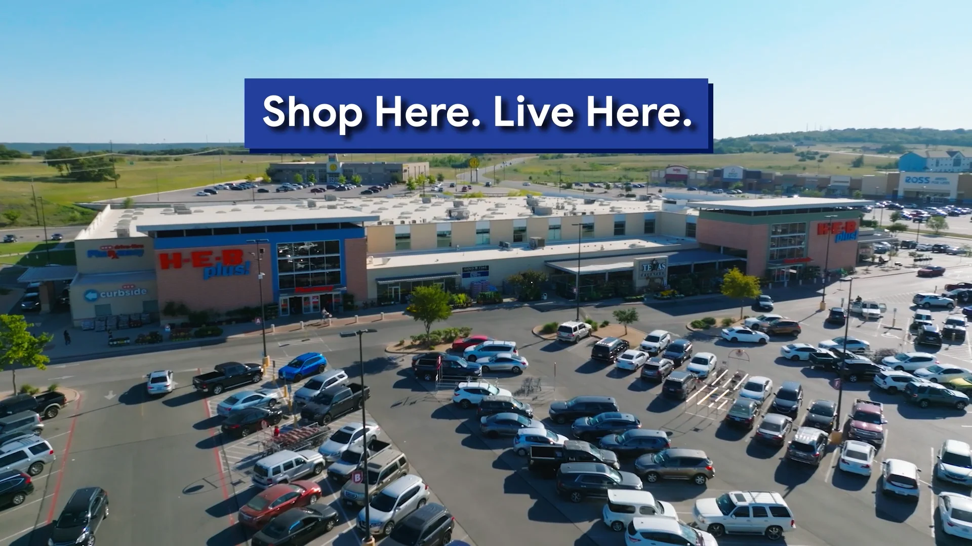 Social Media Clips With Animated Text Intro Statement Examples ...