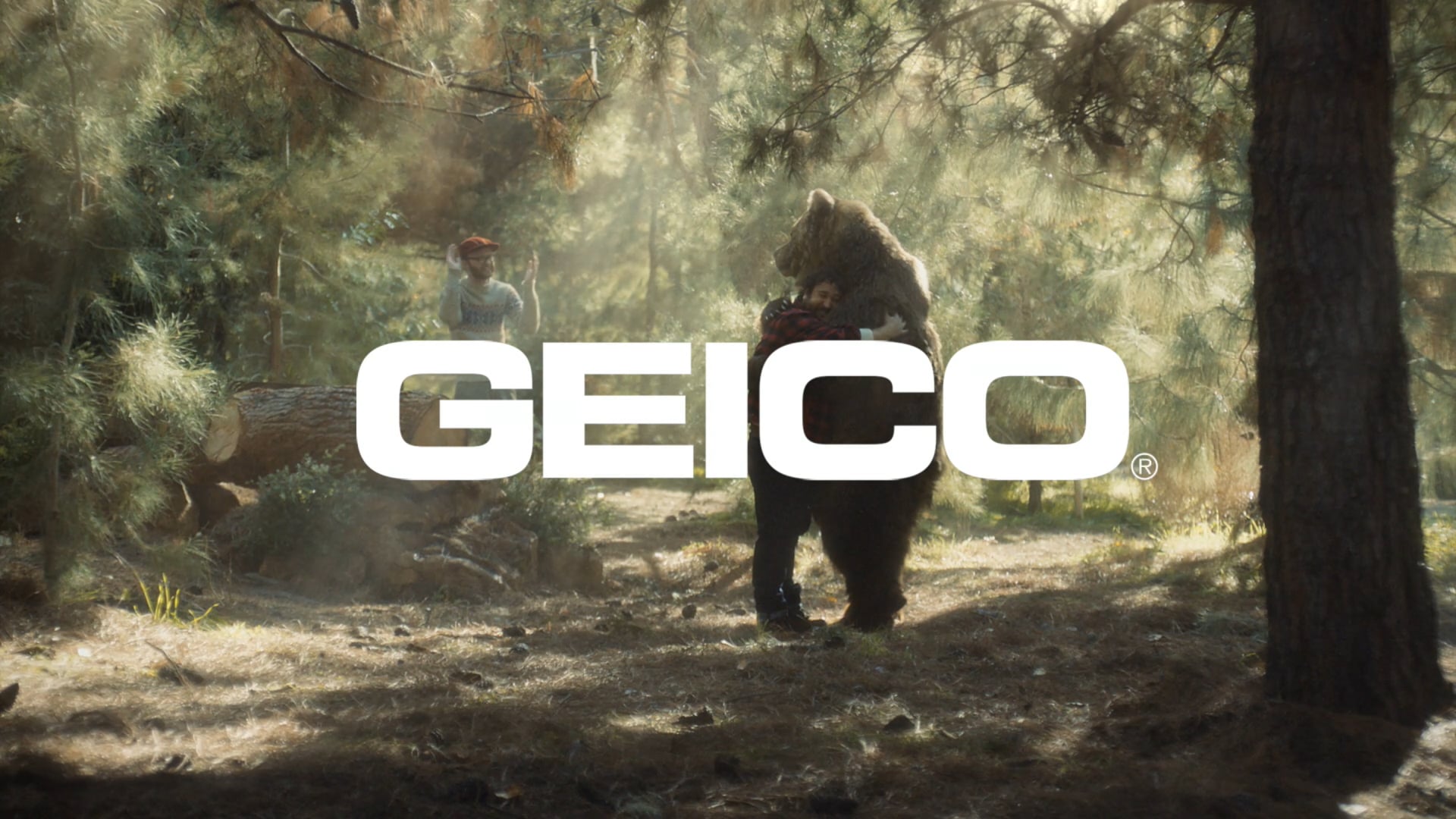 GEICO - Forest on Vimeo