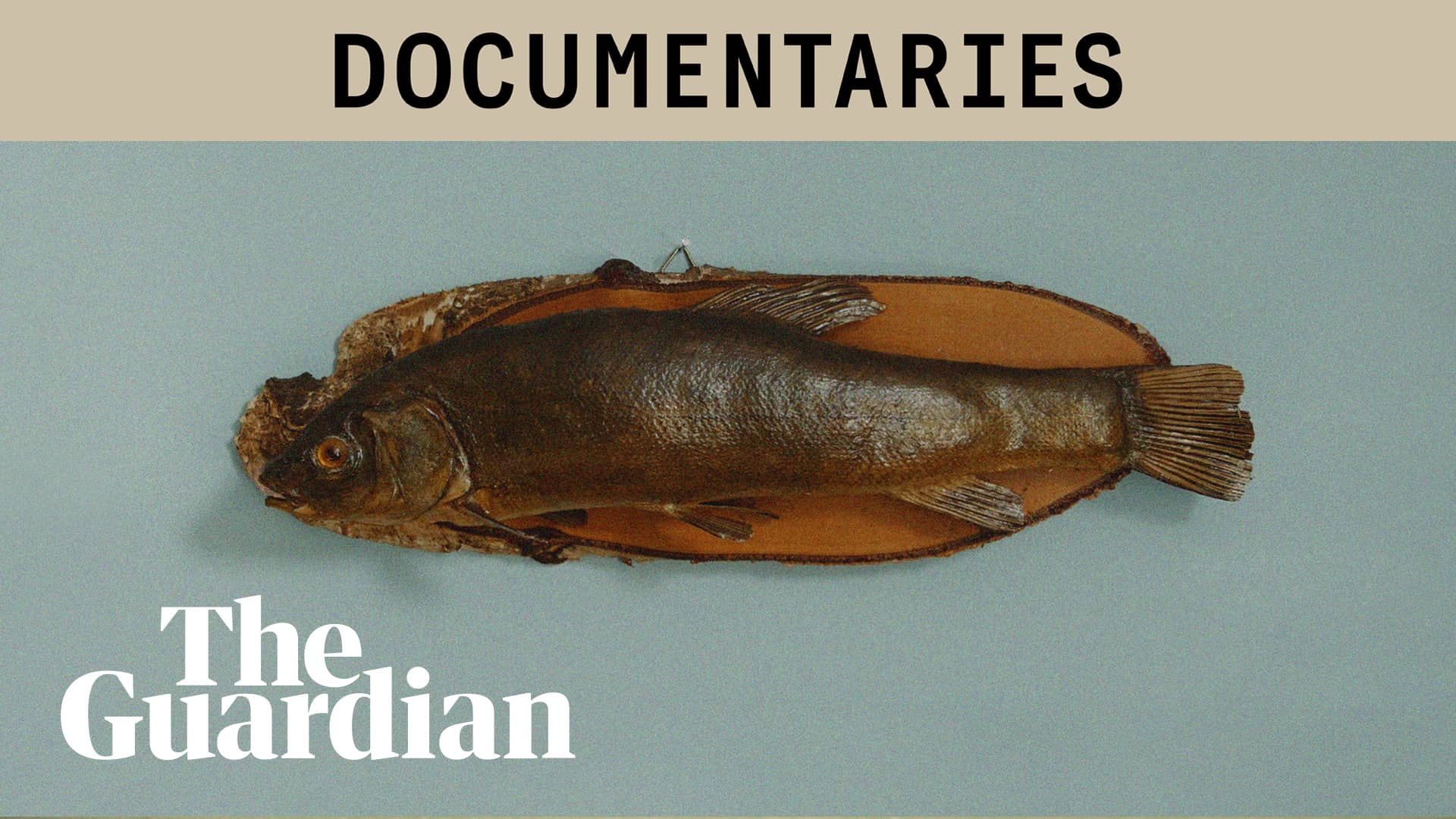 Fish Story on Vimeo