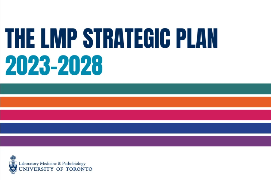 The LMP Strategic Plan 2023-2028