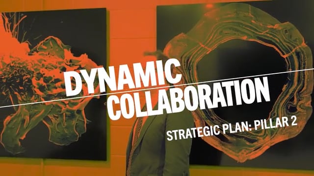 Dynamic Collaboration: Pillar two of the LMP Strategic Plan 2023-2028 ...