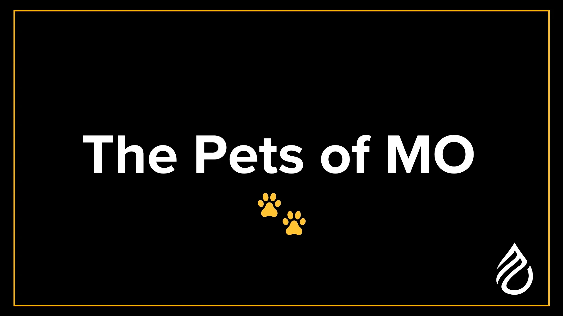 MO_Pets_04.23 on Vimeo