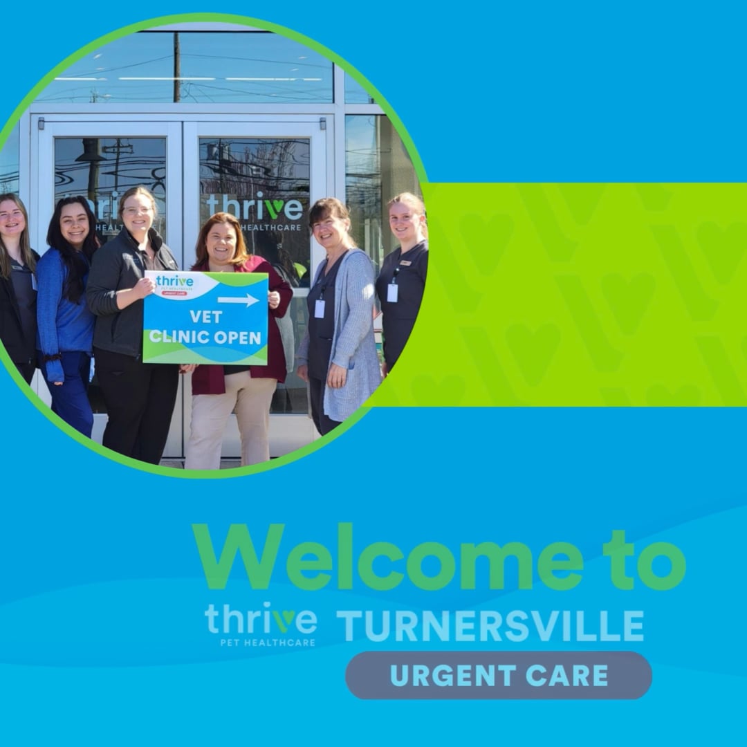 New Thrive Urgent Care Hospital Open in Turnersville, NJ on Vimeo