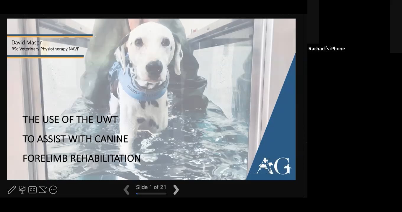 The use of UWT to assist with canine forleimb rehabilitation on Vimeo