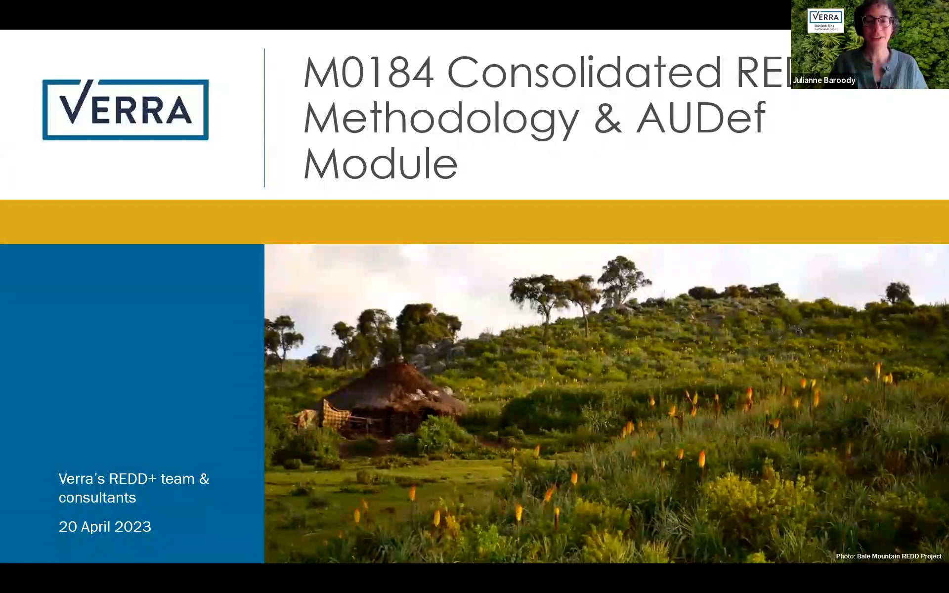 Webinar: Overview of Verra’s draft consolidated REDD methodology on Vimeo