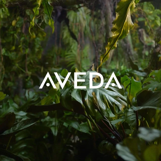 Aveda Leaf Logo