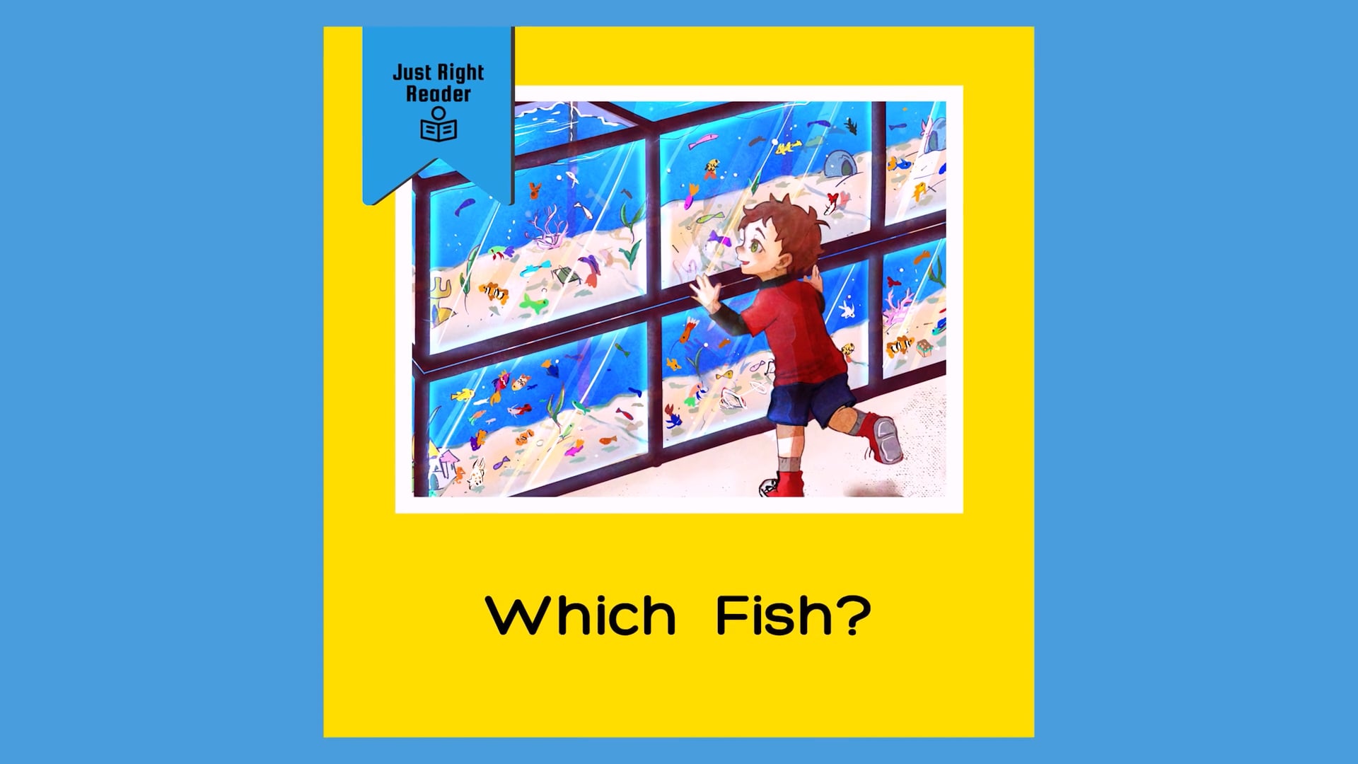 (En Español) Which Fish on Vimeo