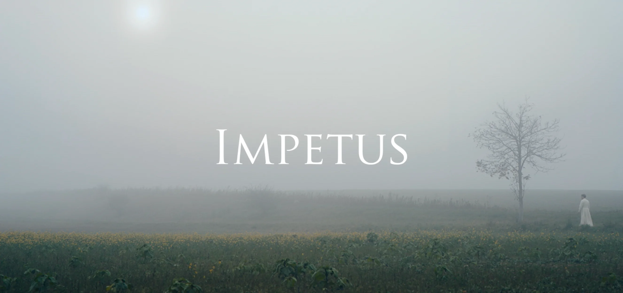 Impetus