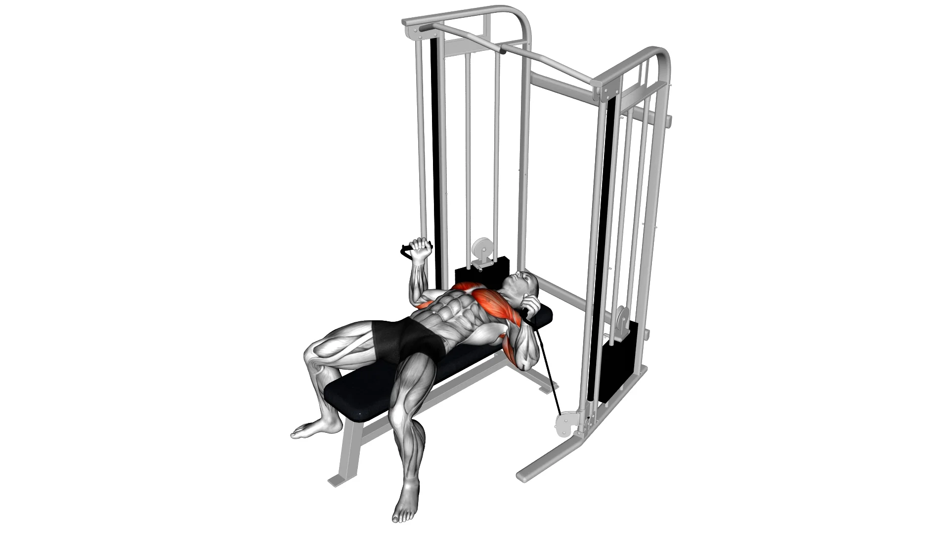 Cable Bench Press on Vimeo