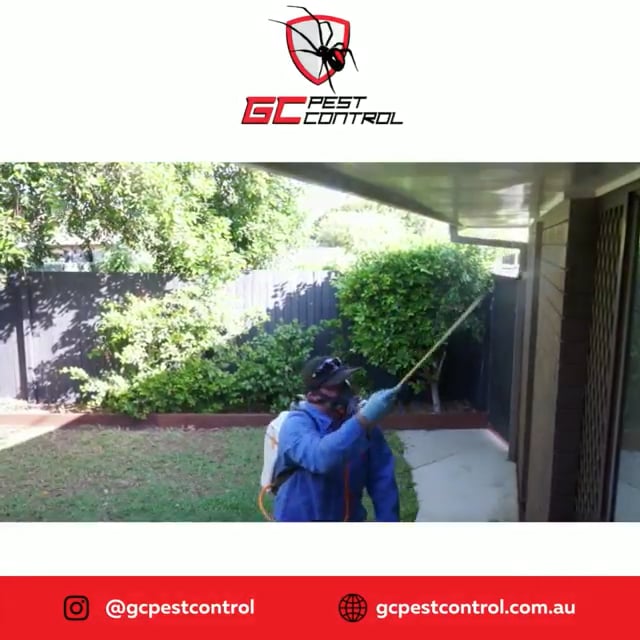GC Pest Control on Vimeo