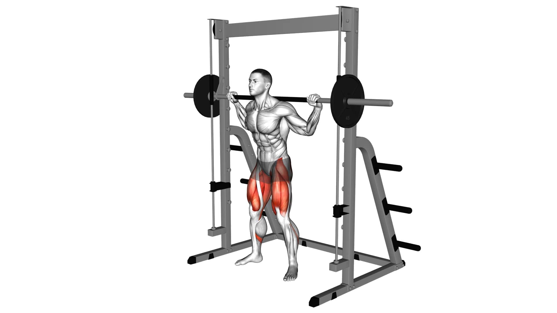 Smith Sumo Squat on Vimeo