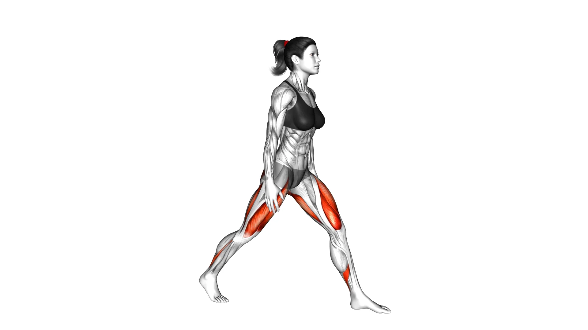 Split Squat on Vimeo