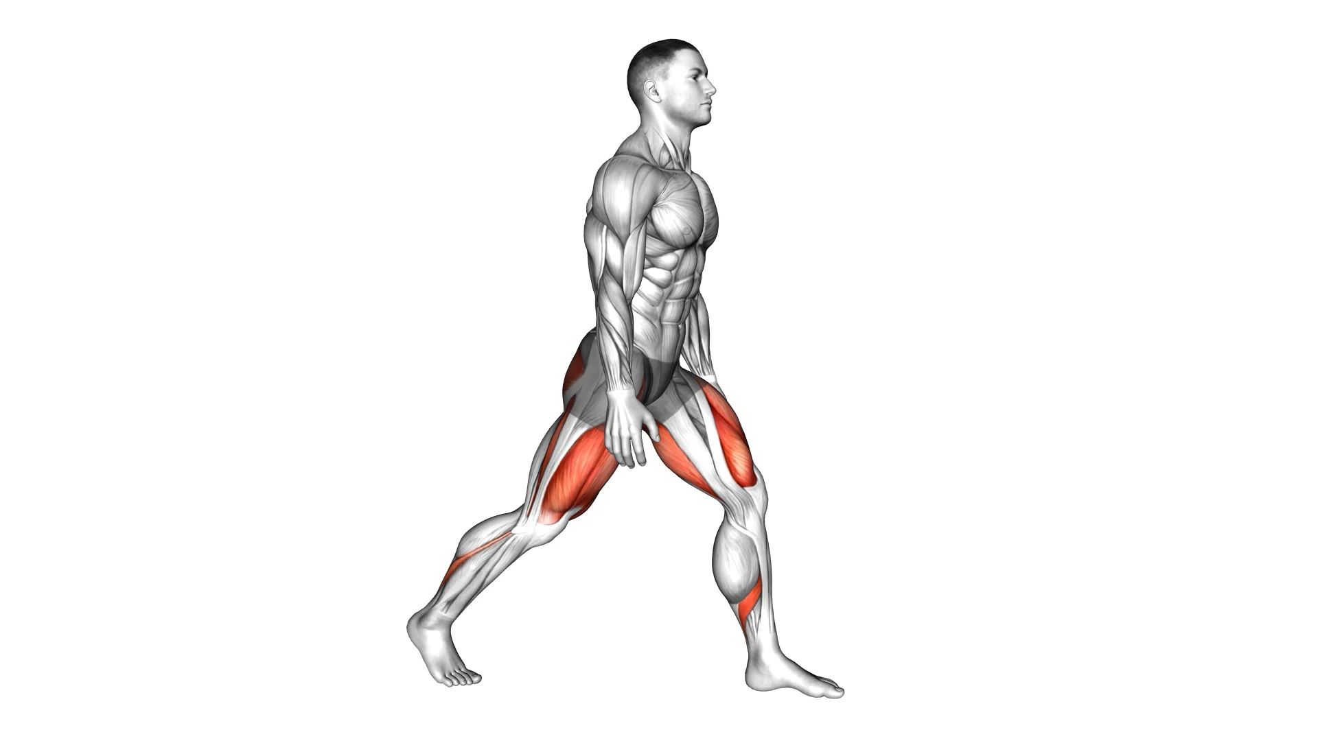 Split Squats on Vimeo