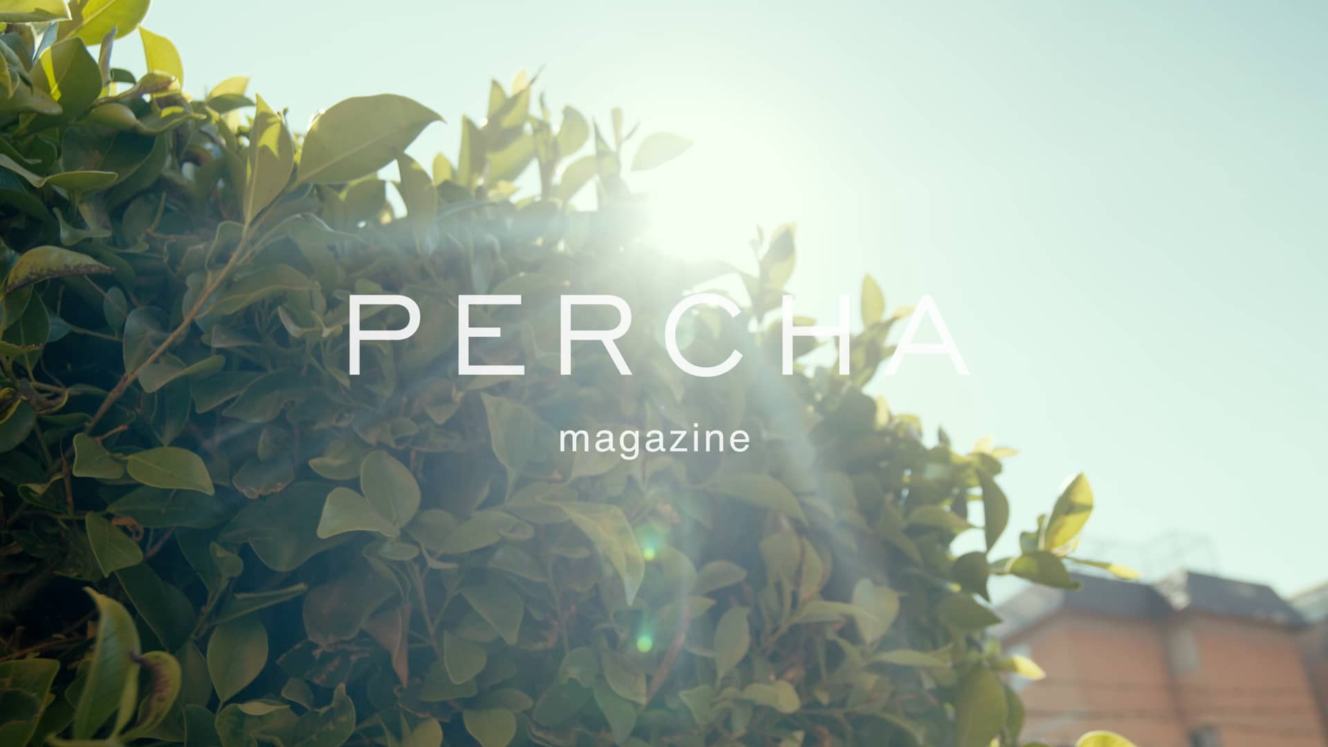 Tenoch Huerta X PERCHA MAGAZINE on Vimeo