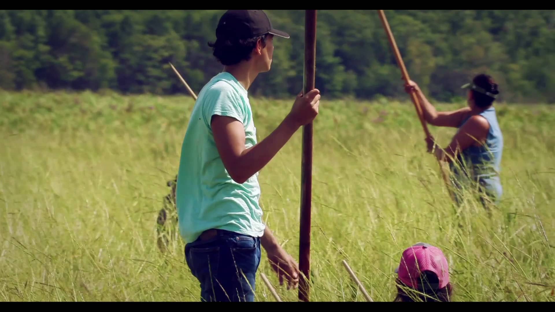 Preserving a Way of Life: Wetland Conservation and the Bad River Band of Lake Superior Chippewa ...