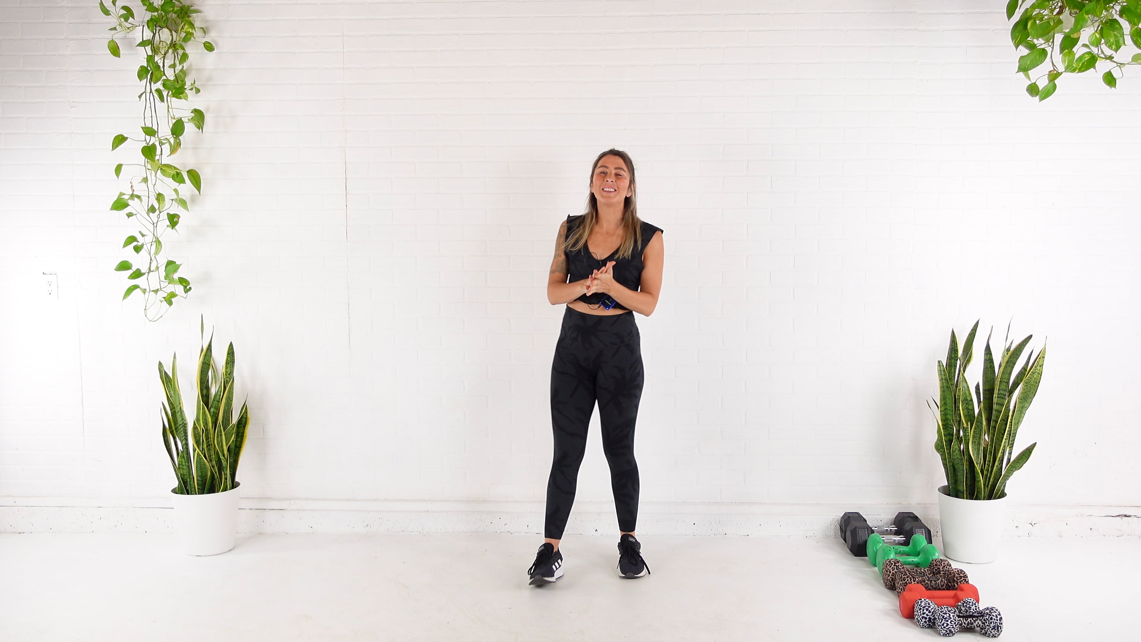 SUPERSET Express Upper Body Core Supersets (week 2) on Vimeo