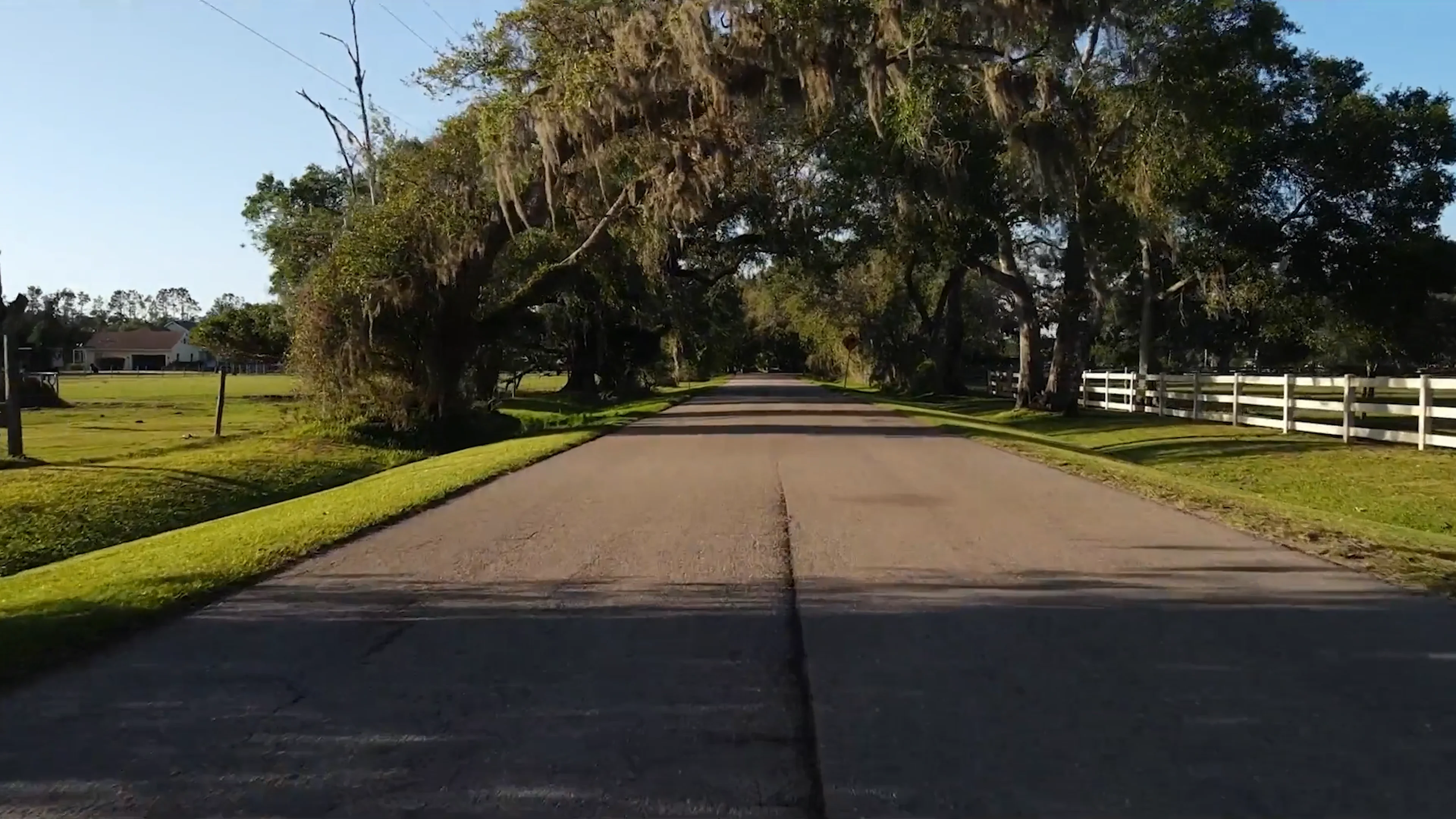 Gaddy Up Ranch in Sarasota, FL on Vimeo