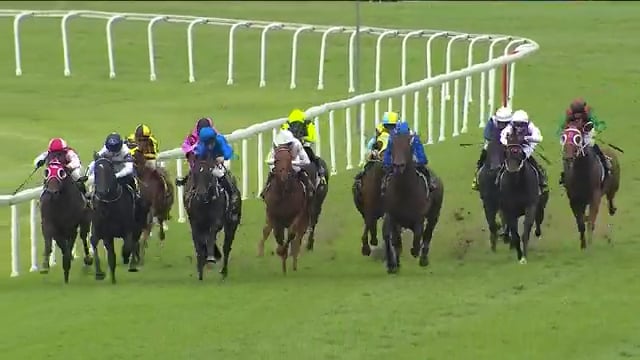 I Am Invincible - Stallion | Breednet