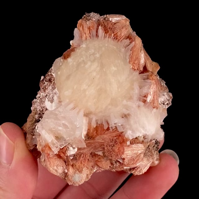 Thomsonite Subgroup with Inesite and Hydroxyapophyllite-(K) | Wessels ...