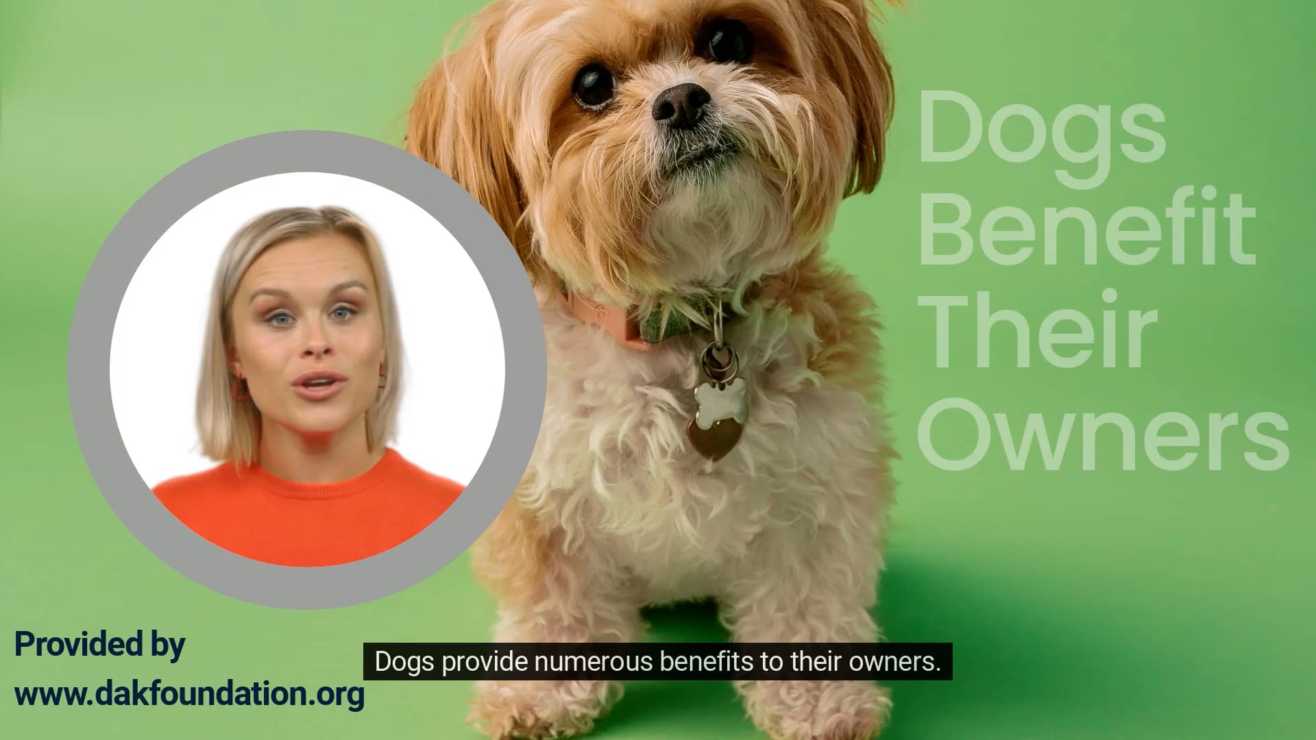 How dogs benefit their owners on Vimeo