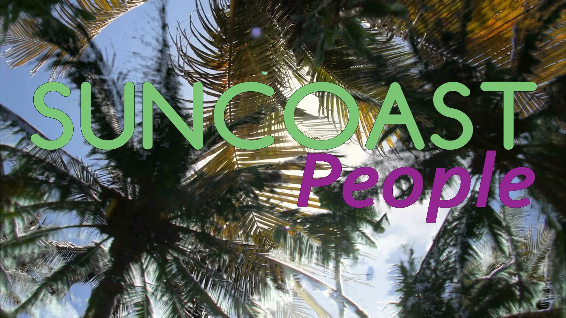 SP S2 Brenda Watty_H.264 on Vimeo