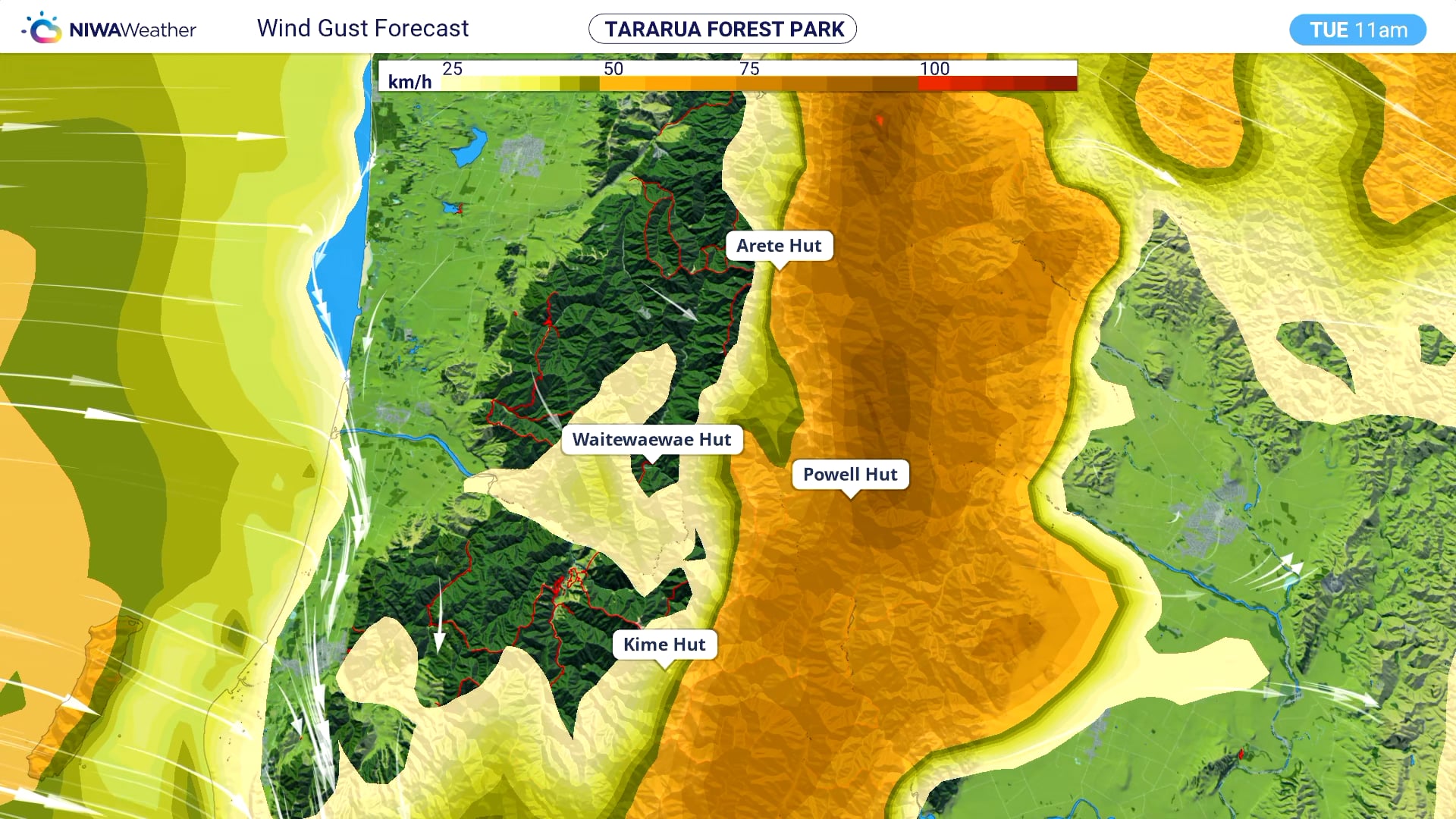 Tararua Forest Park Weather Outlook on Vimeo