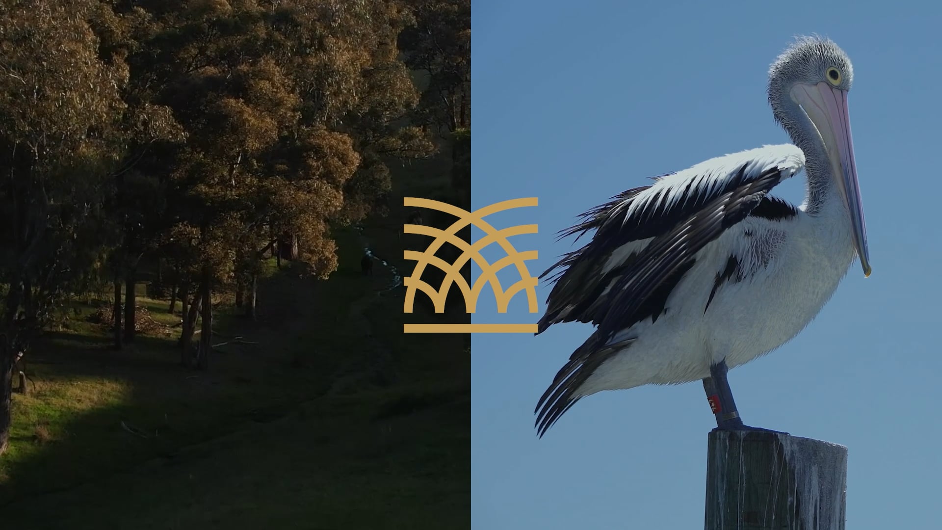 Mirradale Folio 3 on Vimeo