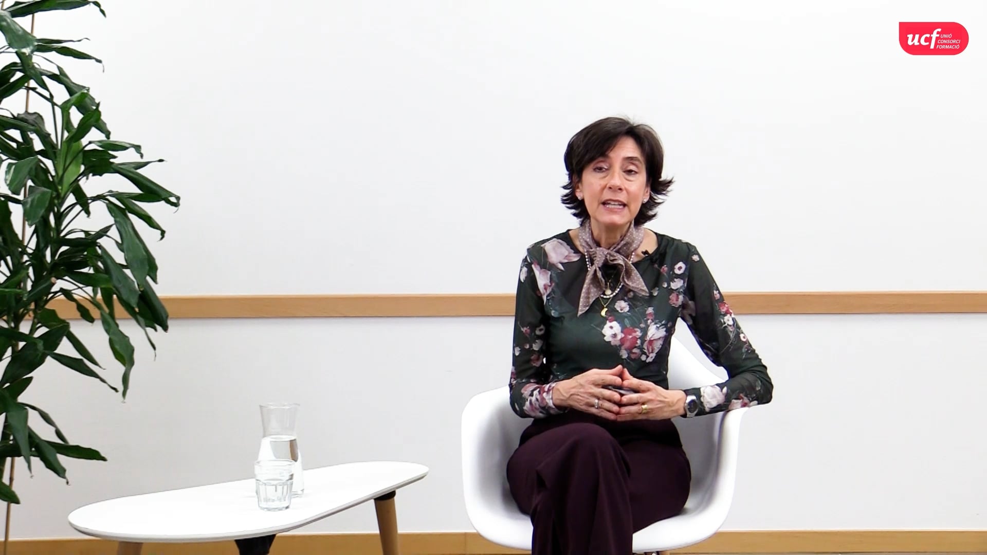 m2_gcpf_cat on Vimeo