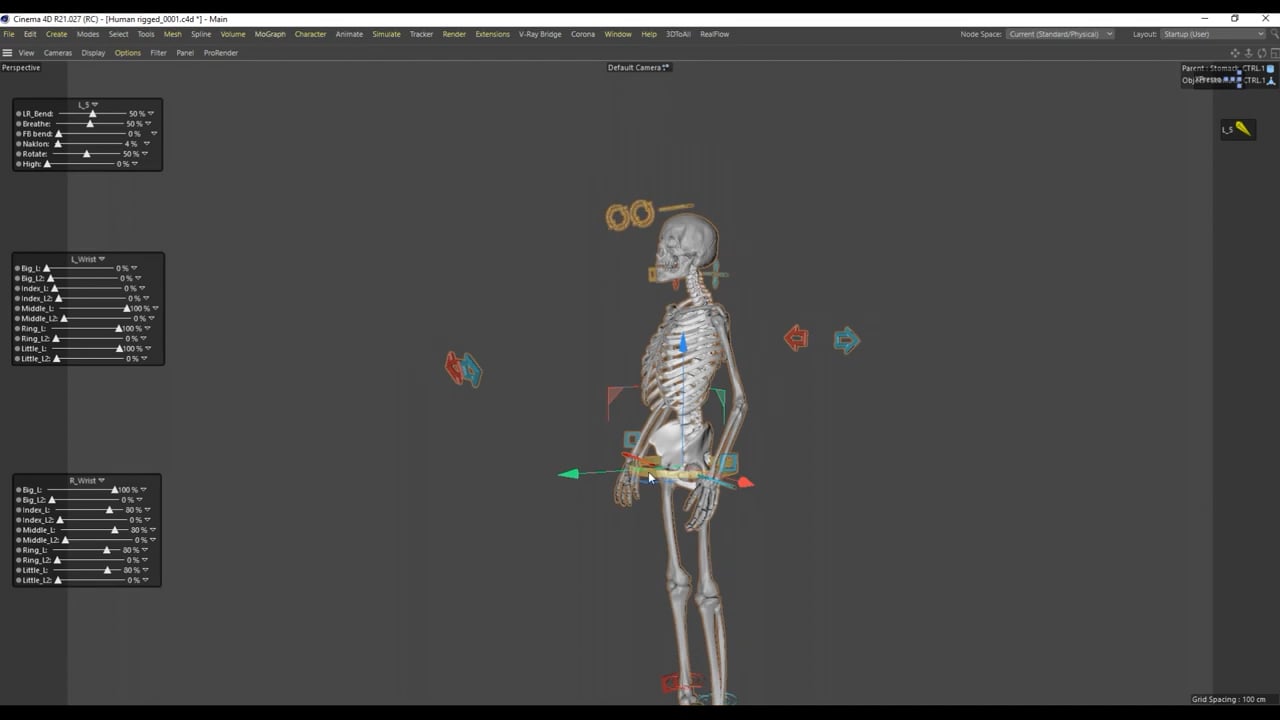 Skeleton on Vimeo