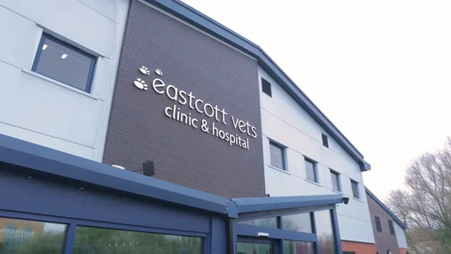 Eastcott Showcase - Referral on Vimeo