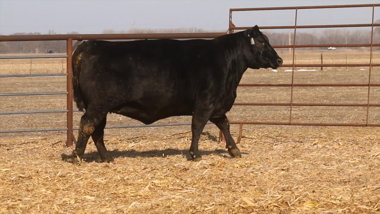 Butz Hill G015 on Vimeo