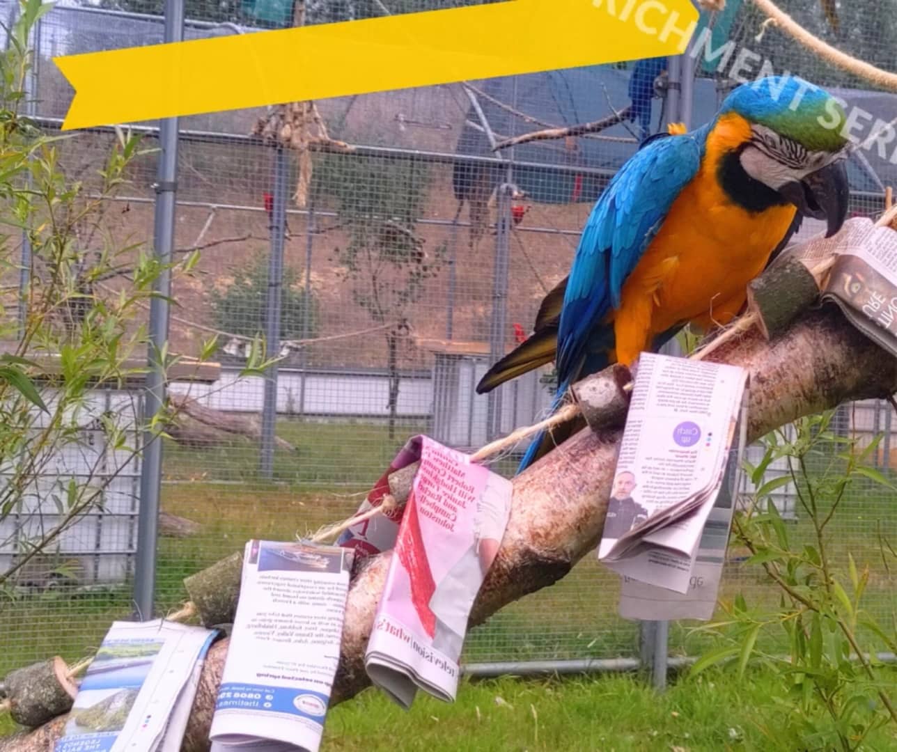 Episode 2: Occupational Enrichment for Parrots on Vimeo