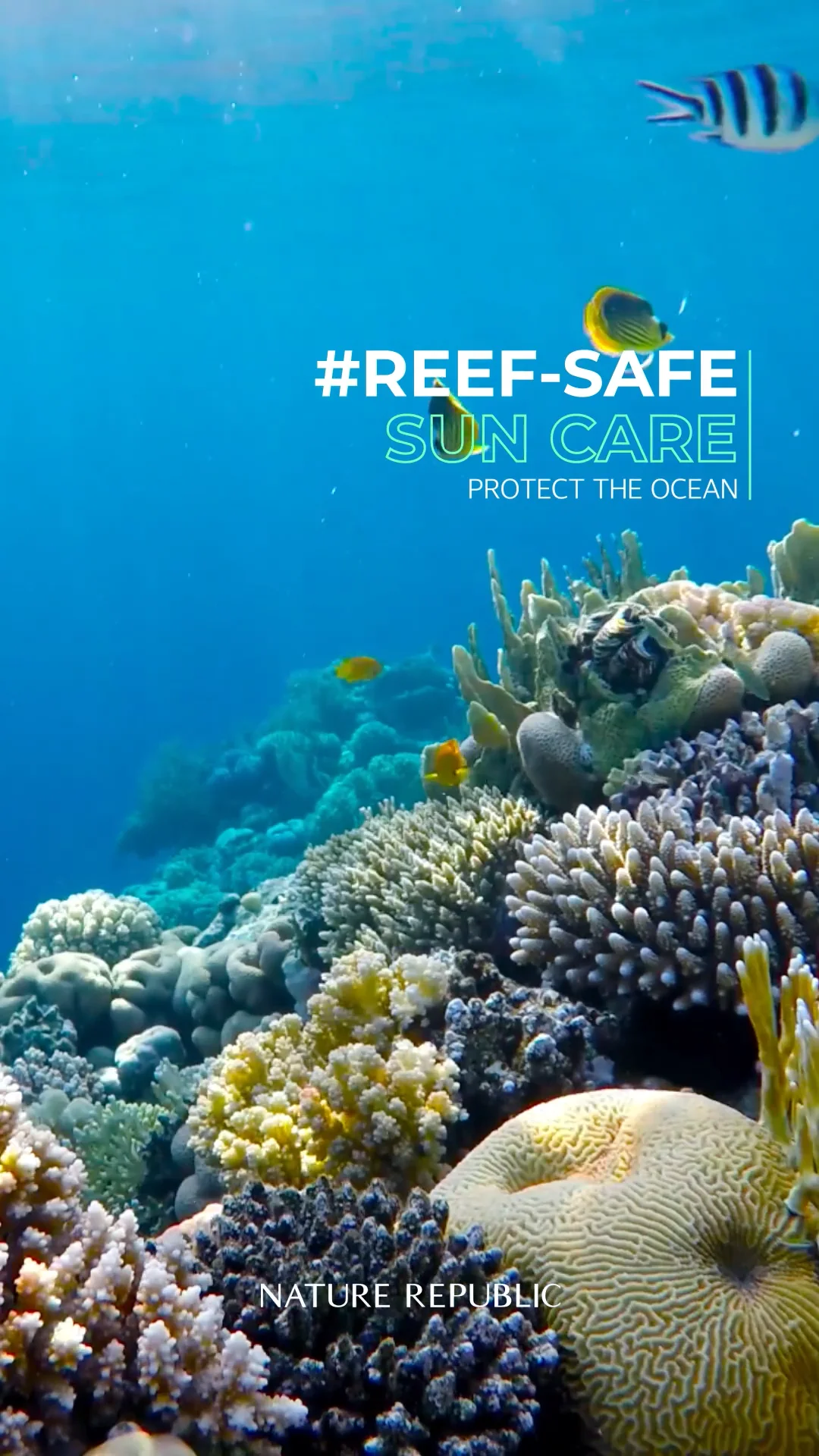 Reef-Safe on Vimeo