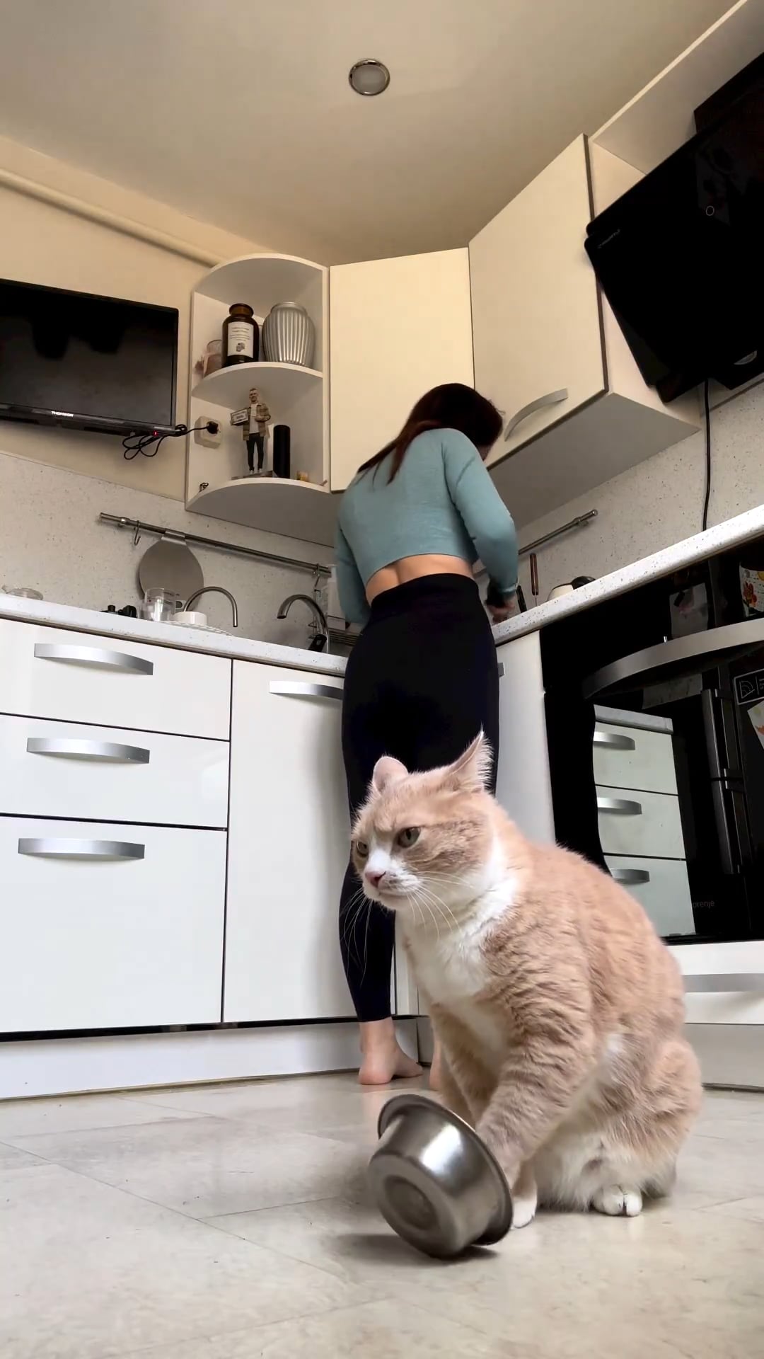 Cat Hungry on Vimeo
