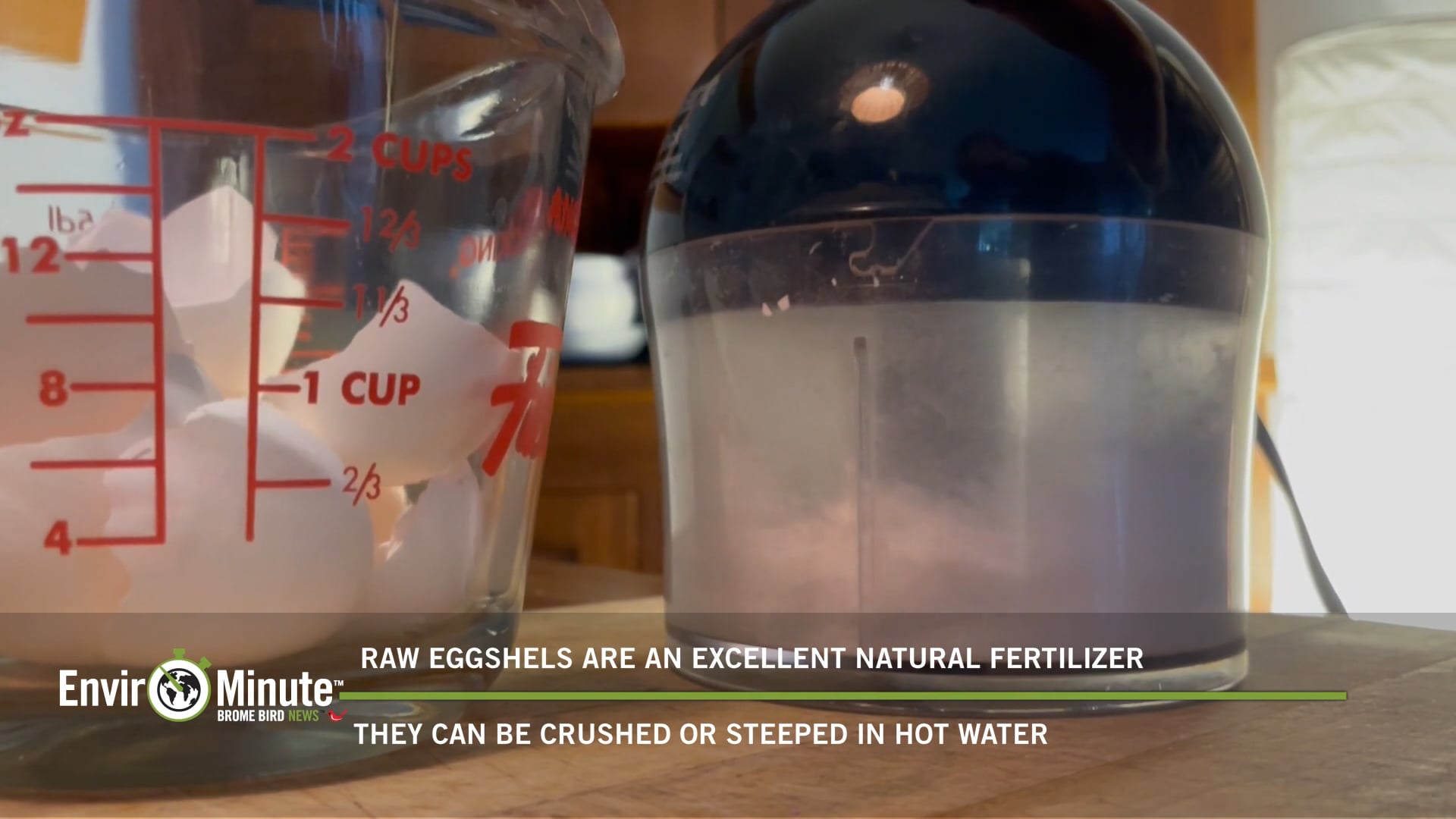 BBN 7-09 - Eggshell Tea and Fertilizer on Vimeo