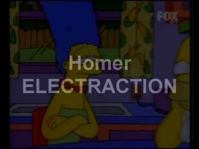 Homer Simpson - Electraction - Fluxtime on Vimeo