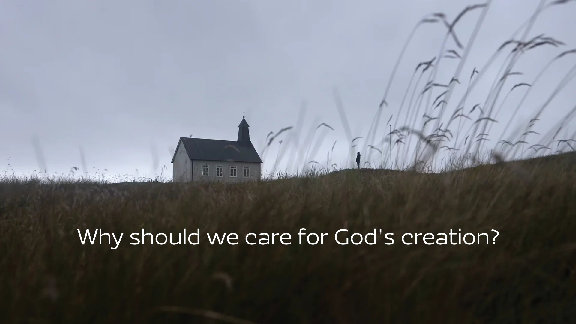 Why should we care for God's creation?