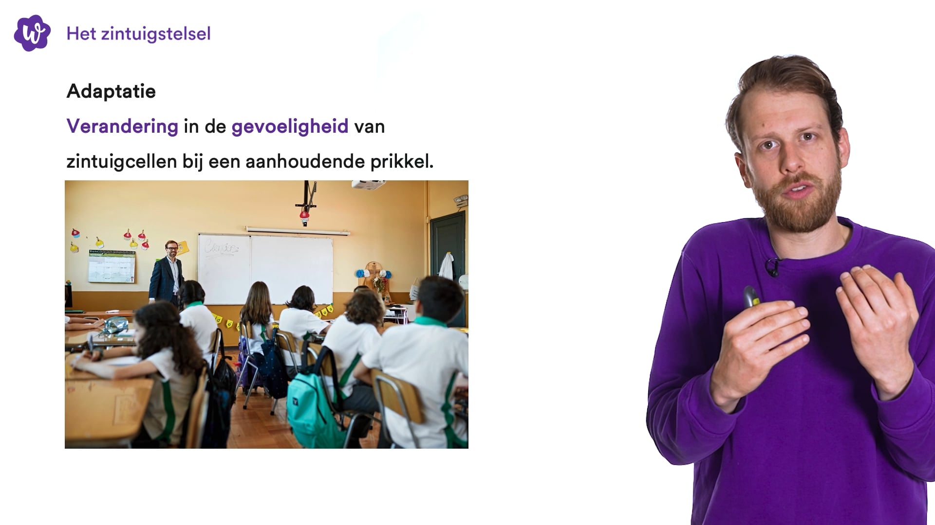 Het zintuigstelsel (BvJ) oefenen | StudyGo
