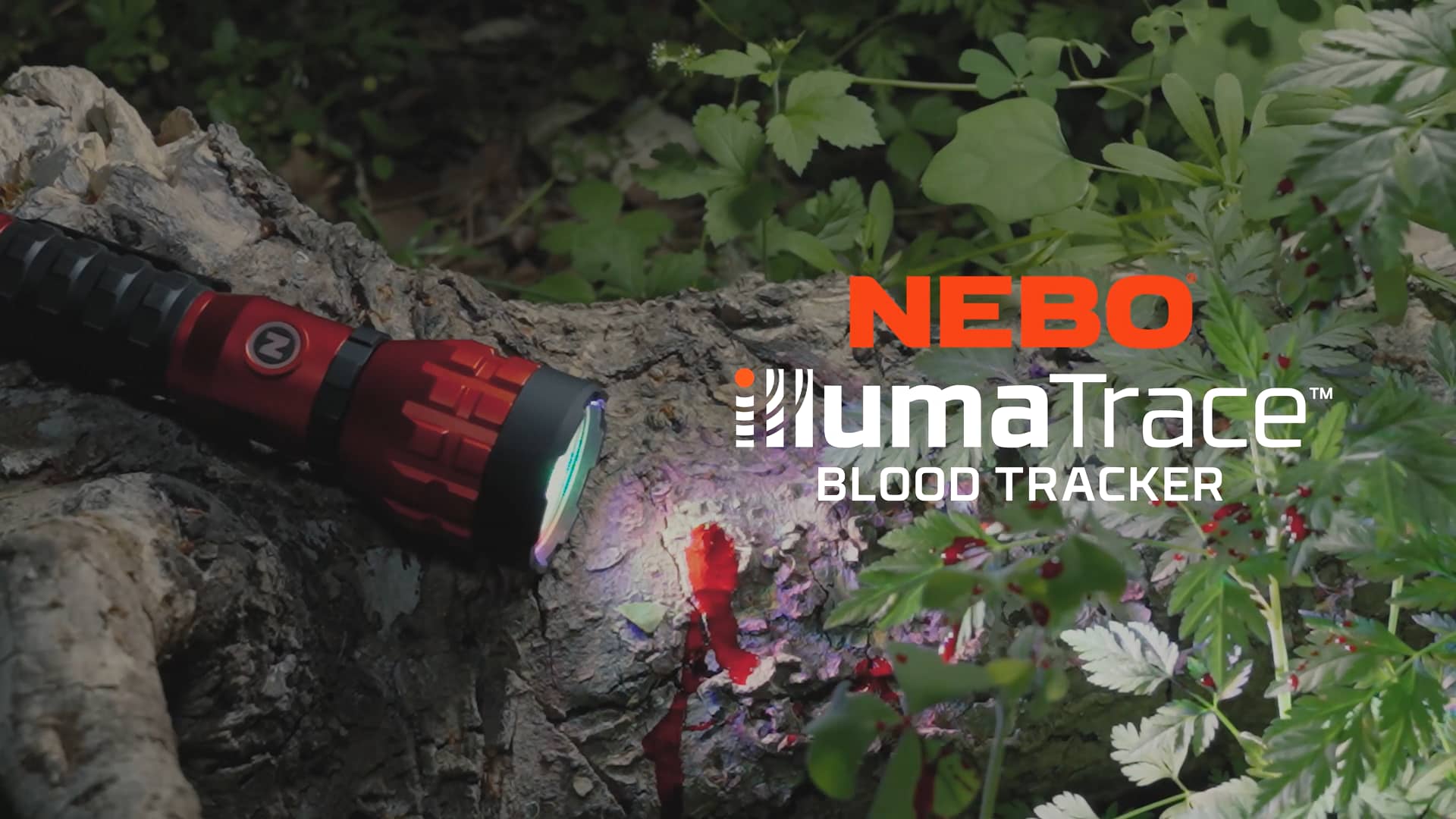 Nebo Illumatrace Blood Tracker - Extended Cut on Vimeo