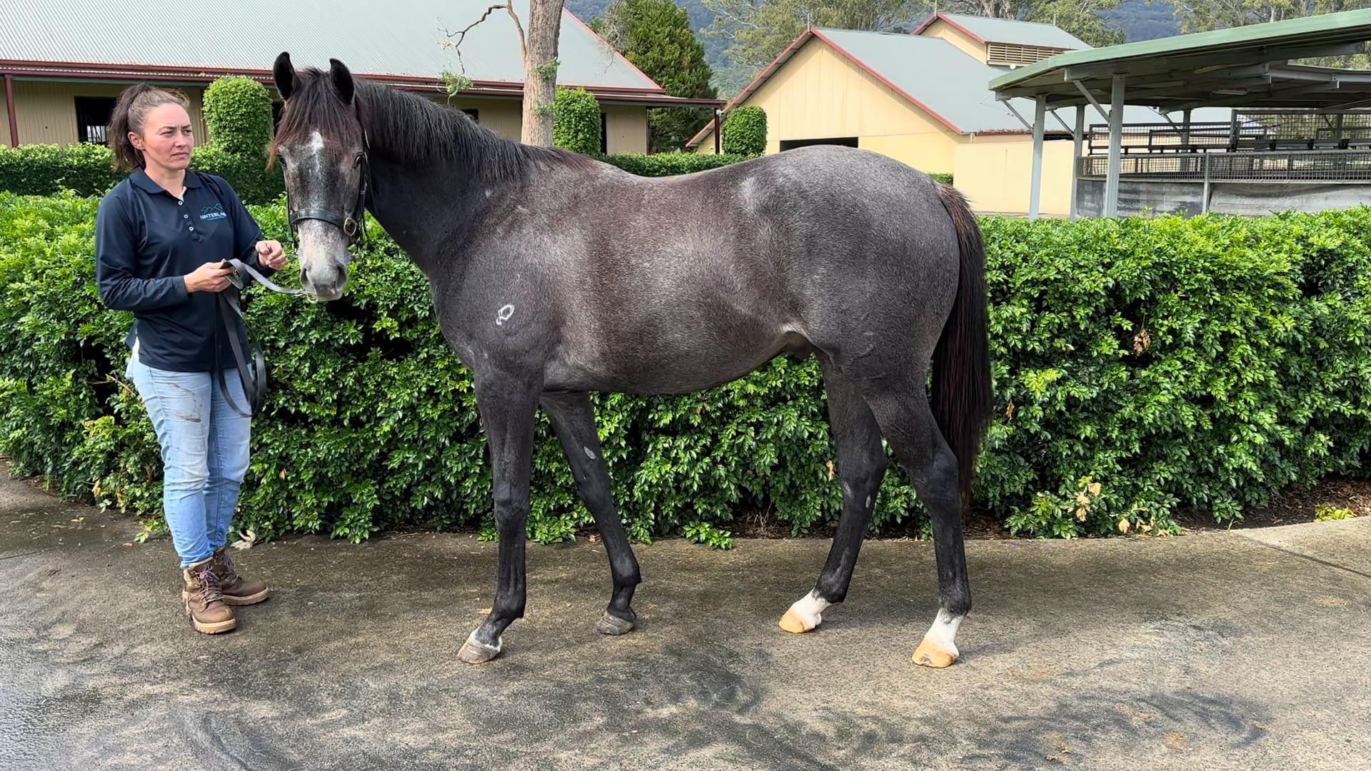 Recollecting x reliable man week 2 on Vimeo