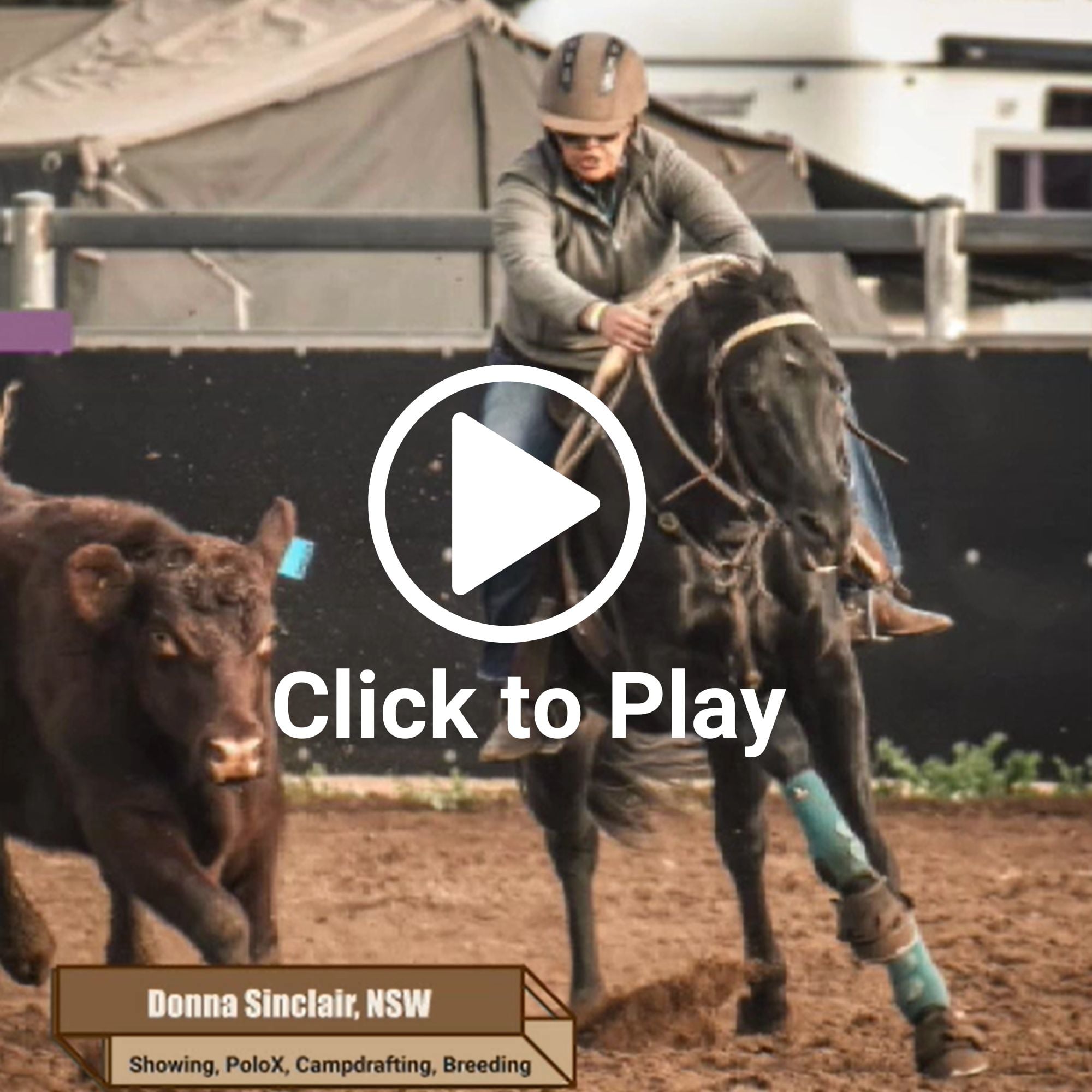 Donna Sinclair Interview on Vimeo